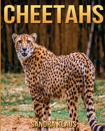 Childrens Book: Amazing Facts & Pictures about Cheetahs (Reading Level ...