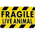 Amazon.com: StickerTalk Fragile Live Animal Vinyl Sticker, 5 inches by ...