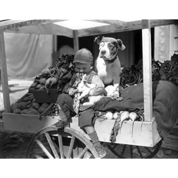 Amazon.com: The Little Rascals Poster Photo Petey Pete The Pup Turnip ...