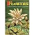 Non-Flowering Plants (A Golden Guide): Floyd Stephen Shuttleworth ...