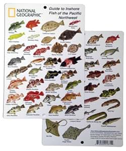 Amazon.com : National Geographic - Guide to Inshore fish of the Pacific ...