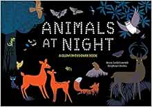 Amazon.com: Animals at Night: An Interactive Glow-in-the-Dark Bedtime ...