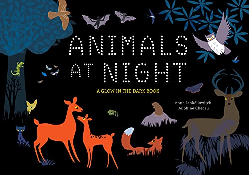 Amazon.com: Animals at Night: An Interactive Glow-in-the-Dark Bedtime ...