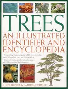 Trees: An Illustrated Identifier And Encyclopedia: A Beautifully ...