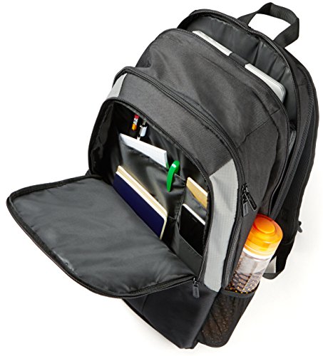 Amazon Basics 15 Inch Laptop Backpack – Designer Travel Planner