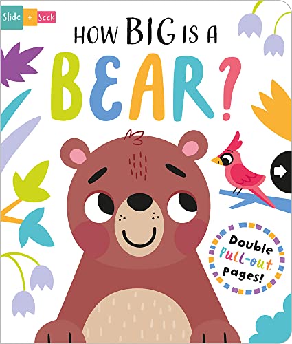 How Big is a Bear? (Slide and Seek - Multi-Stage Pull Tab Books): Regan ...