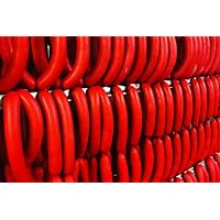 Amazon.com: 3lbs of Red Snapper Hot Dogs - A Maine Original - Gluten ...