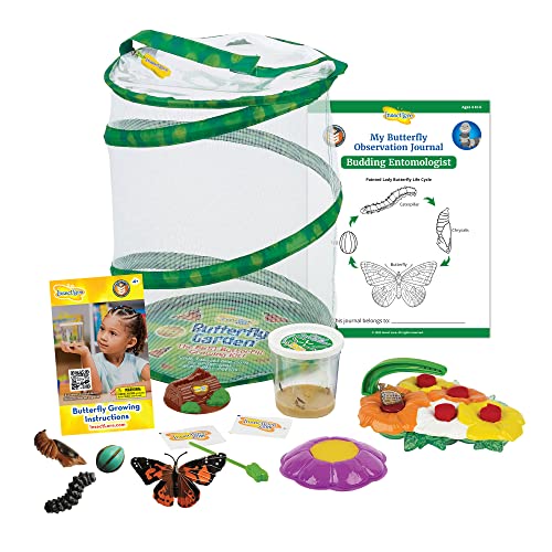 Butterfly Garden: Original Habitat and Live Cup of Caterpillars - with ...