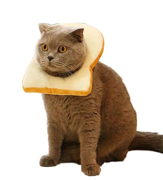 Amazon.com : komii Pet Costume，Creative Toast cat Headdress, Soft Bread ...