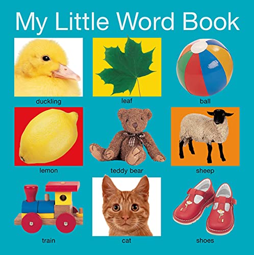My Little Word Book (My Little Books): Priddy, Roger: 9780312514648 ...