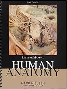 Human Anatomy: 9781524904326: Medicine & Health Science Books @ Amazon.com