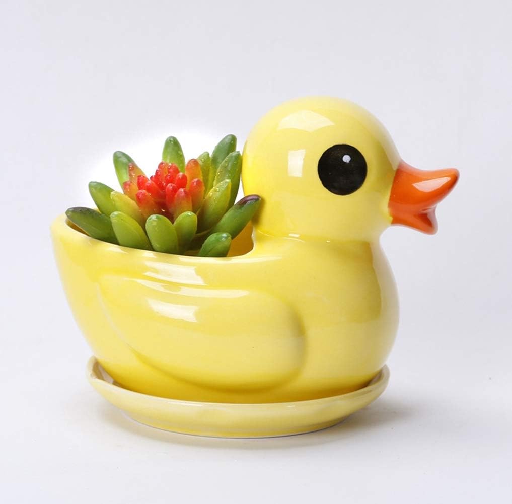 Amazon.com: SELLONWANELO Cute Duck Succulent Pots Small Ceramic Planter ...