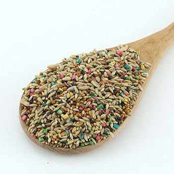 Amazon.com : L'Avian Plus Canary Food - 25 Lbs. : Pet Food : Pet Supplies