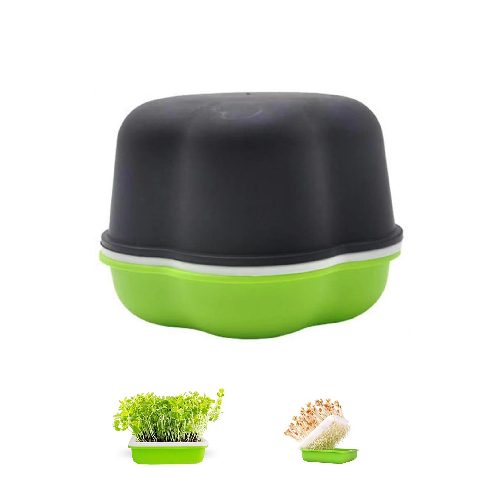 Mua Seedling Tray, Broccoli Sprout, Cultivation Kit, Sprout, Container ...