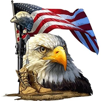 Amazon.com: Bald Eagle American Flag sticker / decal: Automotive
