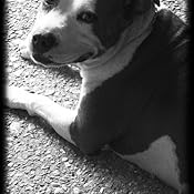 Amazon.com: Killer Photos with Your iPhone (9781435456891): Matthew ...