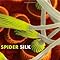 Spider Silk: Evolution and 400 Million Years of Spinning, Waiting ...