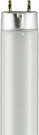 F18T8/CW/24 Cool-White 4200K - Watts: 18W, Type: T8 Fluorescent Tube ...