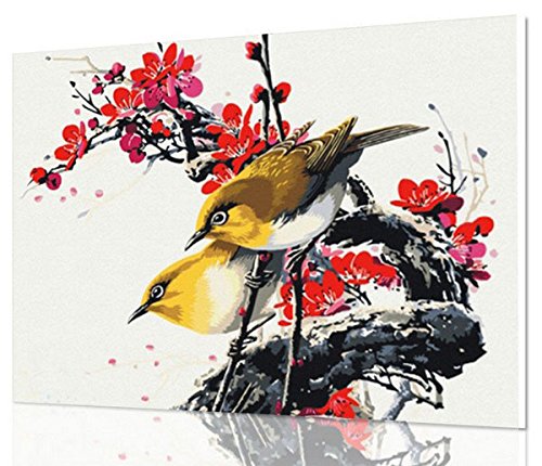 Bird Paint By Number Kits • Paint By Number For Adults