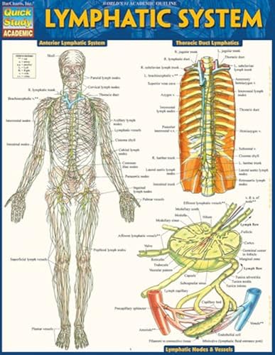 Lymphatic System Quickstudy Laminated Reference Guide Quick Study