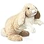 Amazon.com: Folkmanis Standing White Rabbit Hand Puppet: Toys & Games