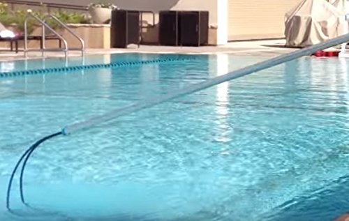 Nova Usa Collection Pool Safety Hook (Pole Buttons Included) - Buy ...