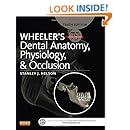 Wheeler's Dental Anatomy, Physiology and Occlusion, 10e: 9780323263238 ...