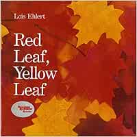 Red Leaf, Yellow Leaf: Ehlert, Lois: 9780152661977: Books - Amazon.ca