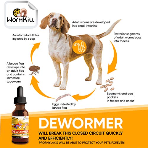 Dewormer for Dogs and Cats Broad Spectrum Worm Treatment for Pets ...