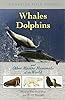 Whales, Dolphins, and Other Marine Mammals of the World (Princeton Field Guides, 41) in Saudi ...