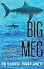Big Meg: The Story of the Largest and Most Mysterious Predator that ...