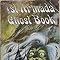 1st Armada Ghost Book: Amazon.co.uk: Christine Bernard: 9780006922223 ...