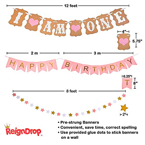 ReignDrop Baby Girl 1st Birthday Decorations Set – First Birthday Party ...