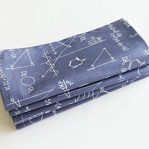 Amazon.com: Handmade Science & Math Napkins (Set of 4-100% Cotton ...