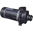 Amazon.com : Hayward SPX3210X15Z1PE 1-1/2-Horsepower Standard Efficient ...