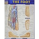 The Foot (Quick Study Academic): 9781423224204: Medicine & Health ...