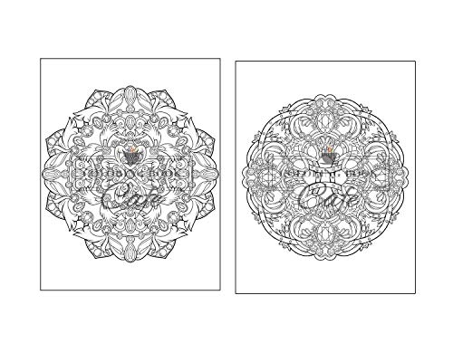 Gemstone Mandalas: An Adult Coloring Book Featuring the World's Most ...