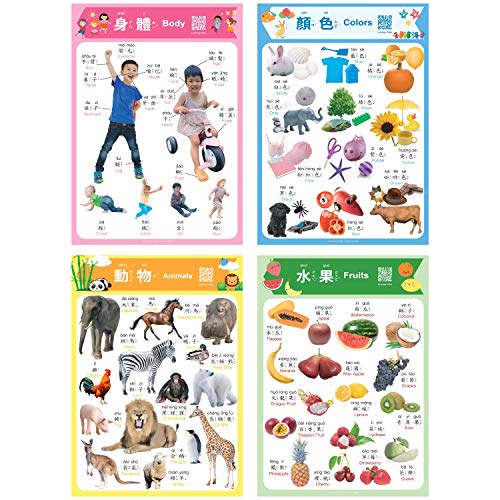 Learn Chinese for Kids Poster Set. Montessori-Inspired. Bilingual with ...
