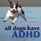 All Dogs Have ADHD: Amazon.co.uk: Kathy Hoopmann: 8601200728194: Books