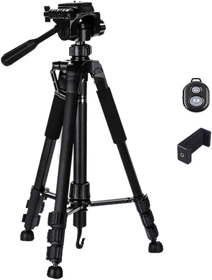Kamera-Stativ, leicht, anscio Reise-Stativ für Kameras: Amazon.de: Kamera