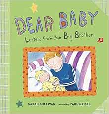 Dear Baby: Letters from Your Big Brother: Sullivan, Sarah, Meisel, Paul ...
