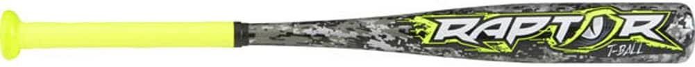 Amazon.com : Rawlings 2019 Raptor Alloy Youth Tball Bat (-12) : Sports ...