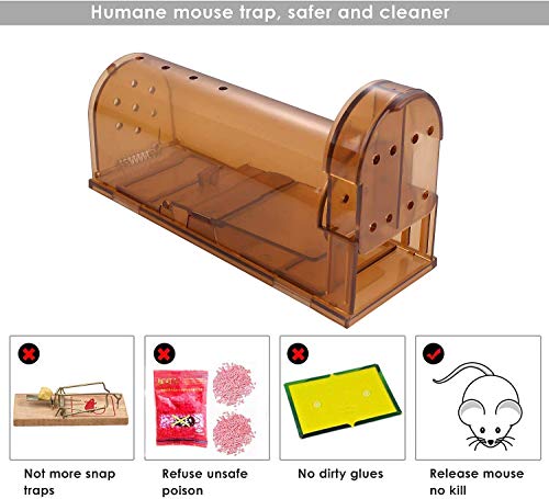 Humane Mouse Trap Catch and Release, No Kill Mouse Traps, 6 Pack Live ...