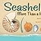 Seashells: More Than a Home: Stewart, Melissa, Brannen, Sarah S ...