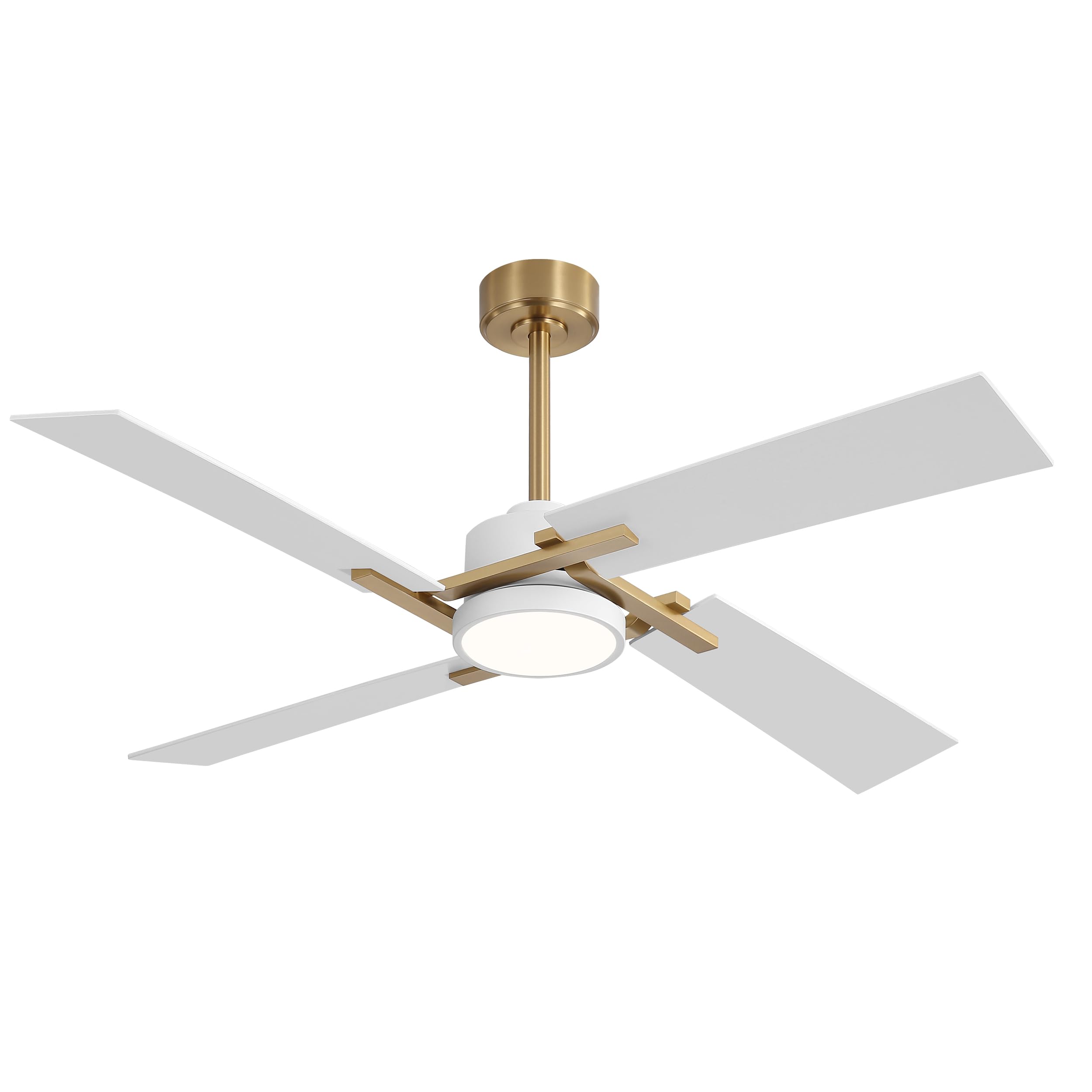 WINGBO 54 Inch Ceiling Fan with Light and Remote, 4 Plywood Blades, 6 ...