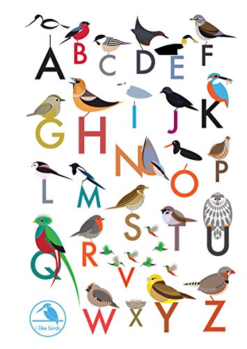 I Like Birds: An Alphabet of Birds Address Book: Cox, Stuart ...