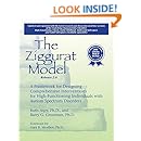 The Ziggurat Model A Framework for Designing Comprehensive ...