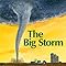 The Big Storm: Bruce Hiscock: 9781590786000: Amazon.com: Books