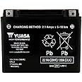 Amazon.com: Yuasa YUAM6250H YTX24HL-BS Battery : Automotive