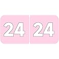 Amazon.com : Starboling 2024 Year Stickers,3/4 "x1-1/2" Pink Rectangle ...
